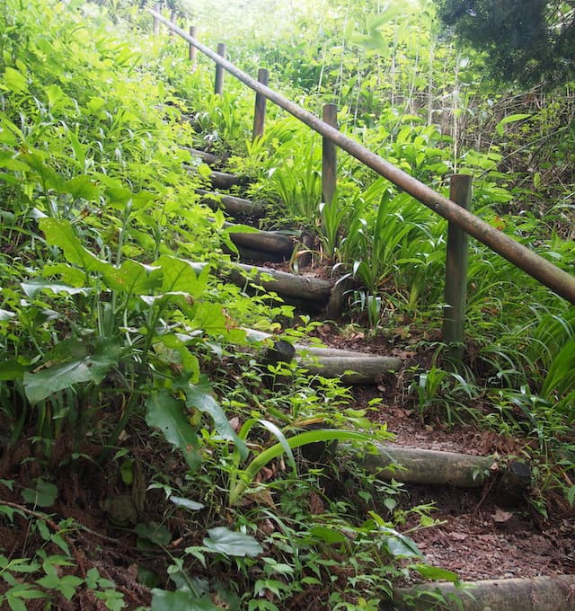 Walking the Shikoku Pilgrimage • Henro