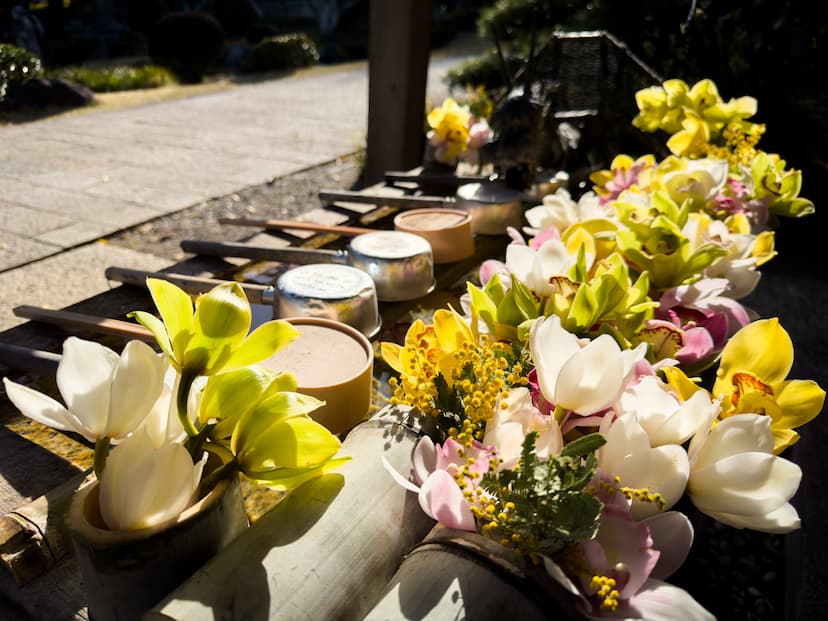 The Shikoku Pilgrimage: Maps, Guides, and More • Henro